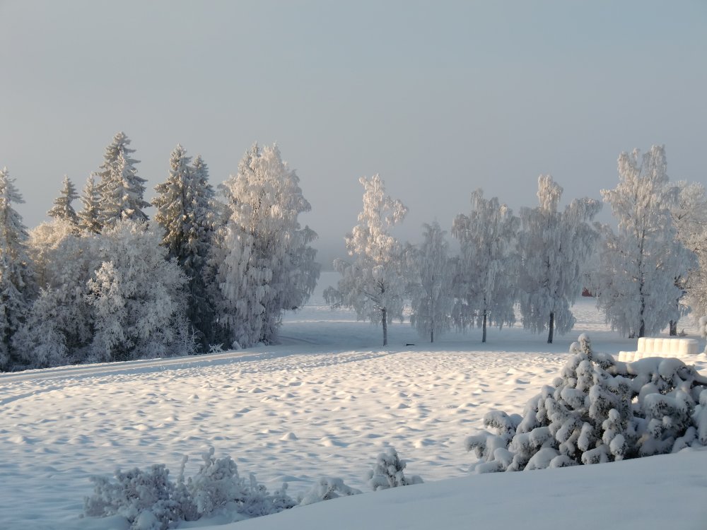 Vakreste Vinterbilder Winter Weihnachts Minishootings Im Oktober 2023