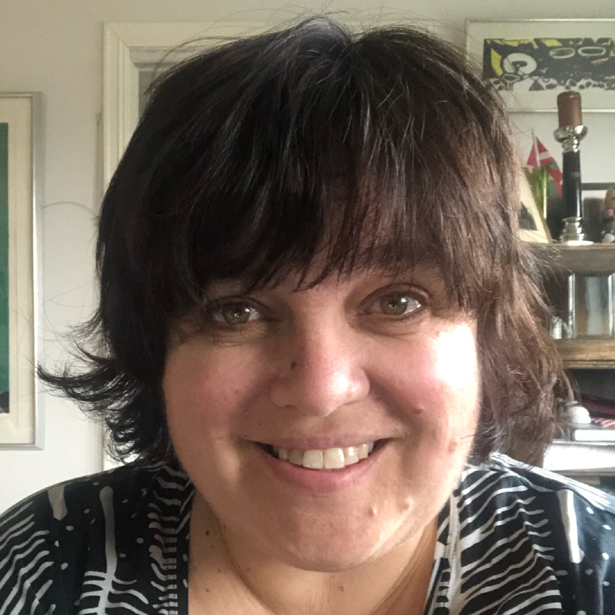 Hva mener Stine Akre (SV)?