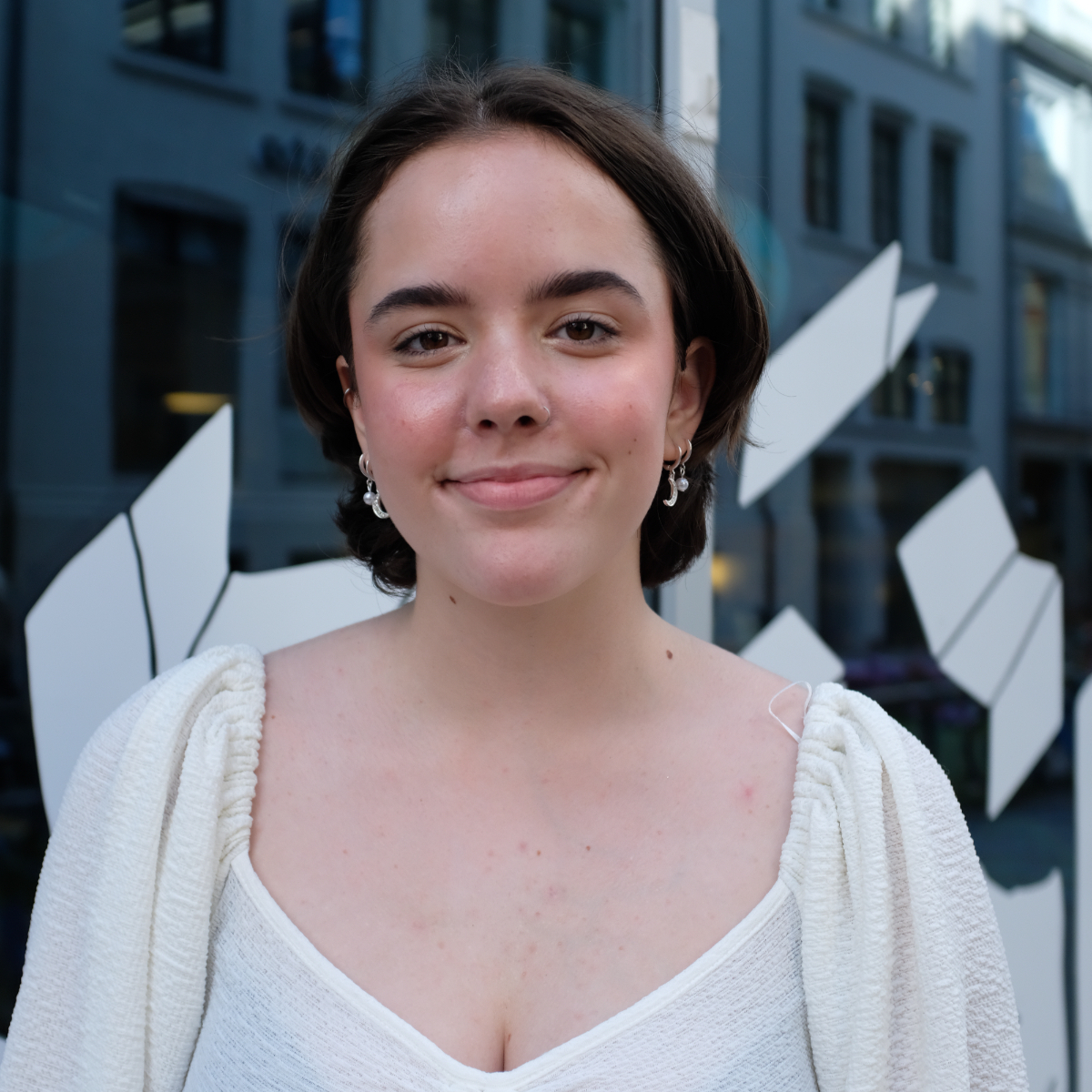 Hva mener Ingvild Husby Halderaker (KRF)?