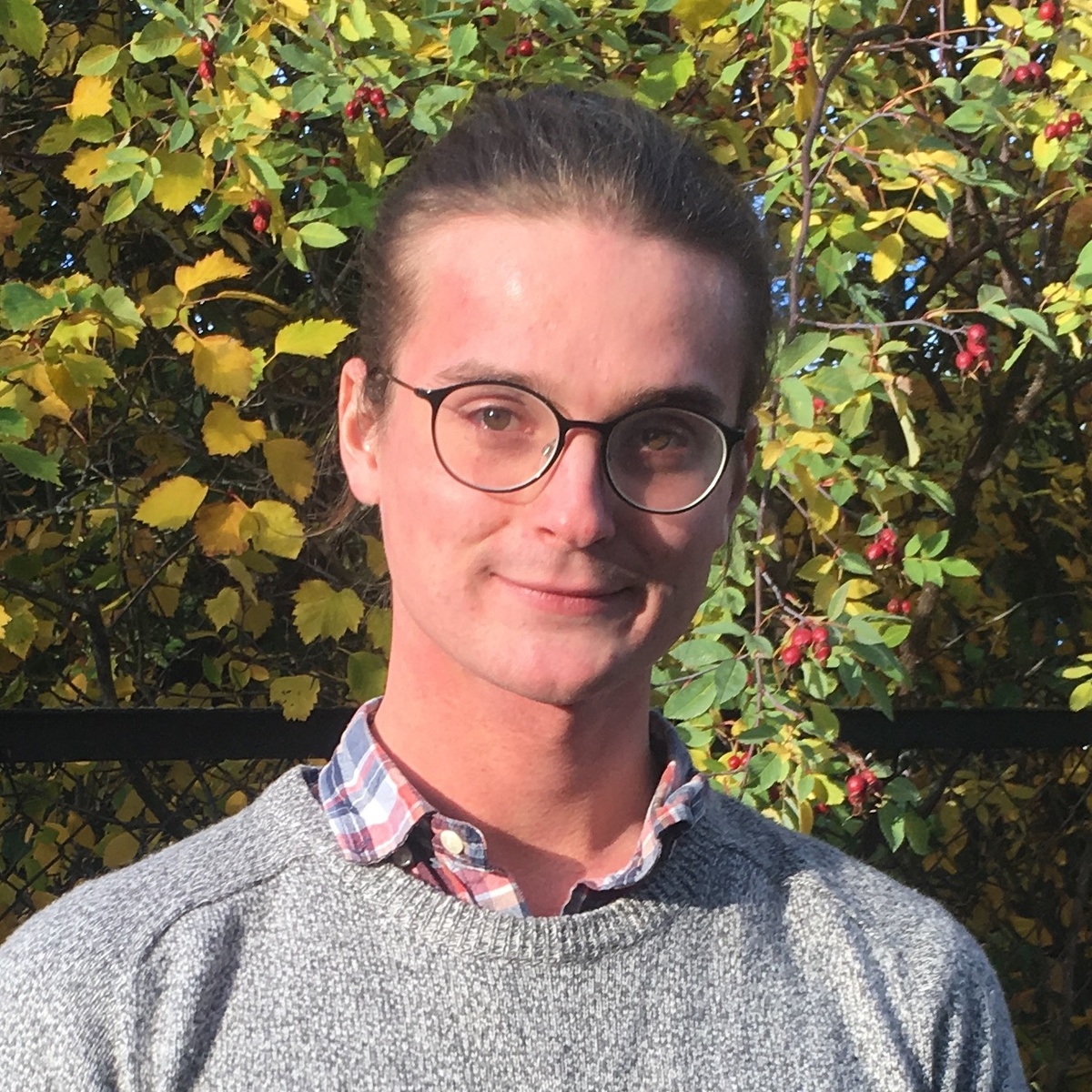 Hva mener Ole Midthun (SV)?