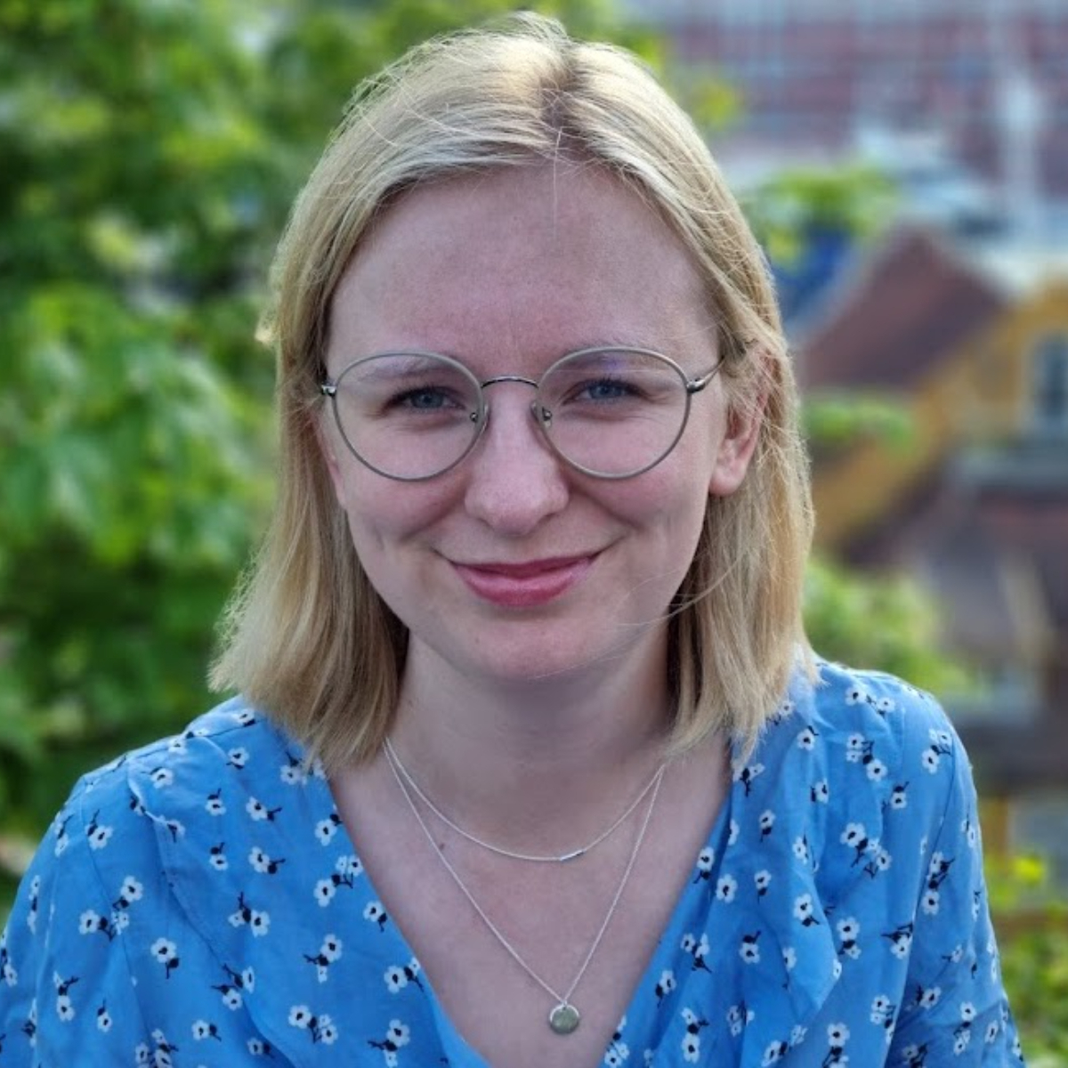 Hva mener Alice Botnen Akselsen (SV)?